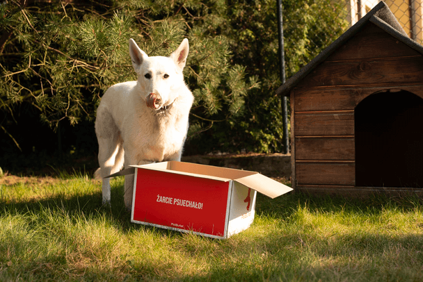 13 Bad Packaging Examples That'll Make You Cry For the Environment